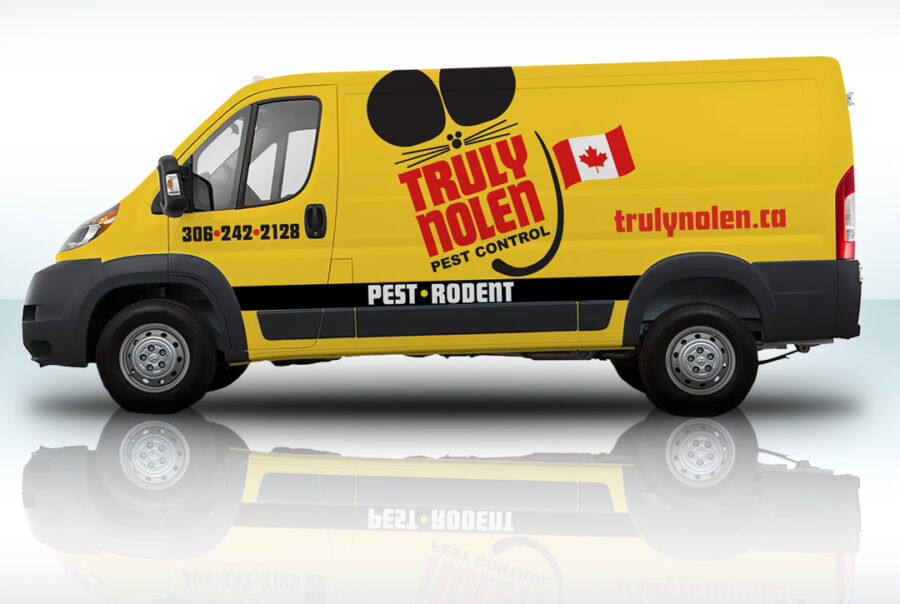 Vehicle Wraps Branded Wraps